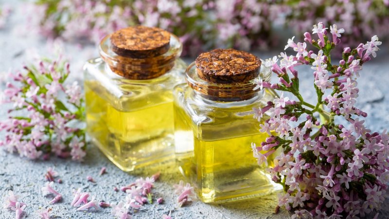 Valeriana: para que serve e como usar