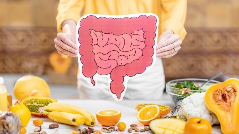 Entenda como funciona a sua digestão